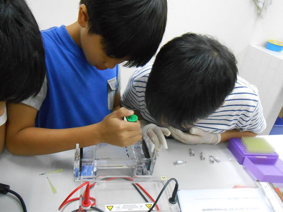 sciencebridge_05 | VMO