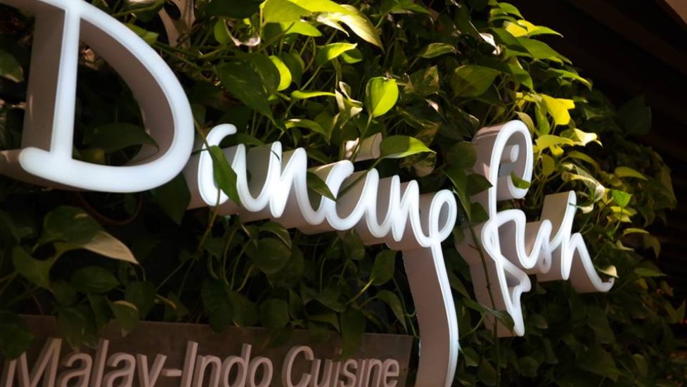 Dancing Fish Bangsar | VMO