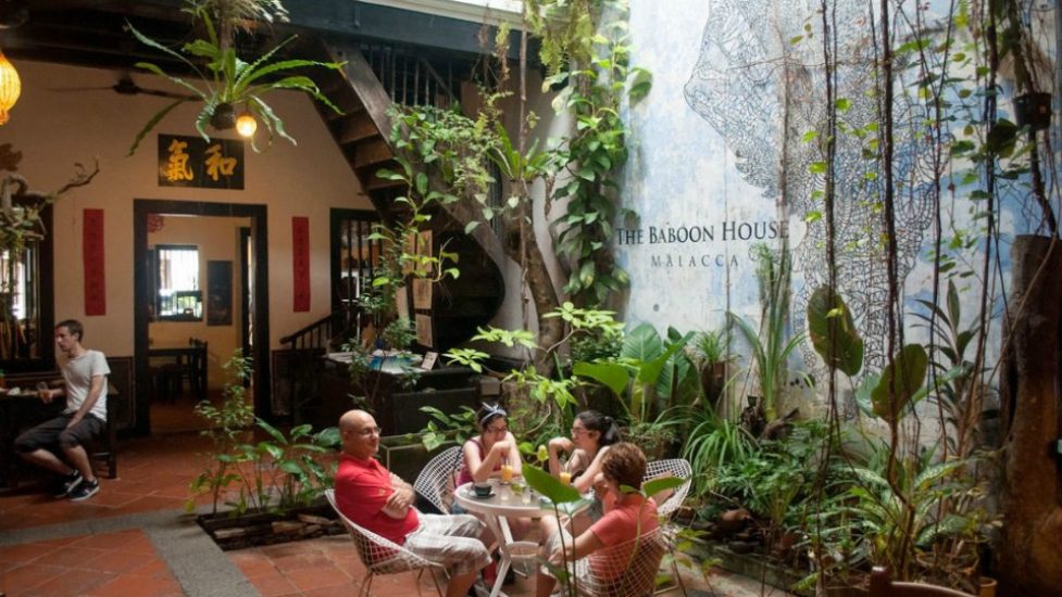 The Baboon House Melaka | VMO