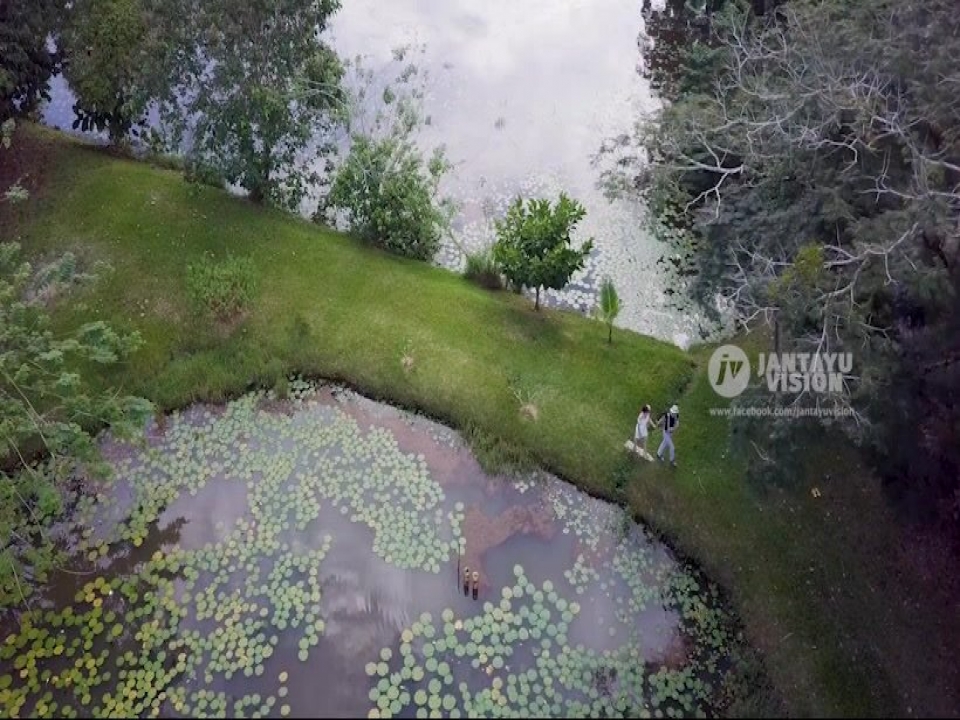 Jantayu Vision | VMO